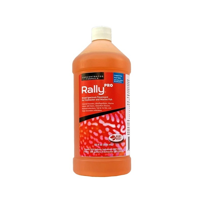 Rally Pro Cylinder bottle - Ruby Reef