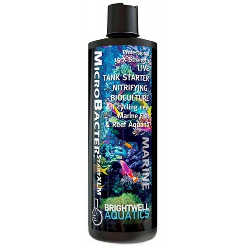 MicroBacter Start XLM - Brightwell Aquatics
