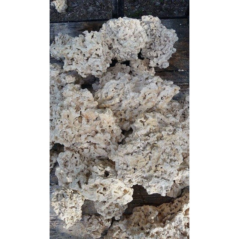 Florida Dry Reef Rock Per Pound ( MIN ORDER OF 50 POUND )